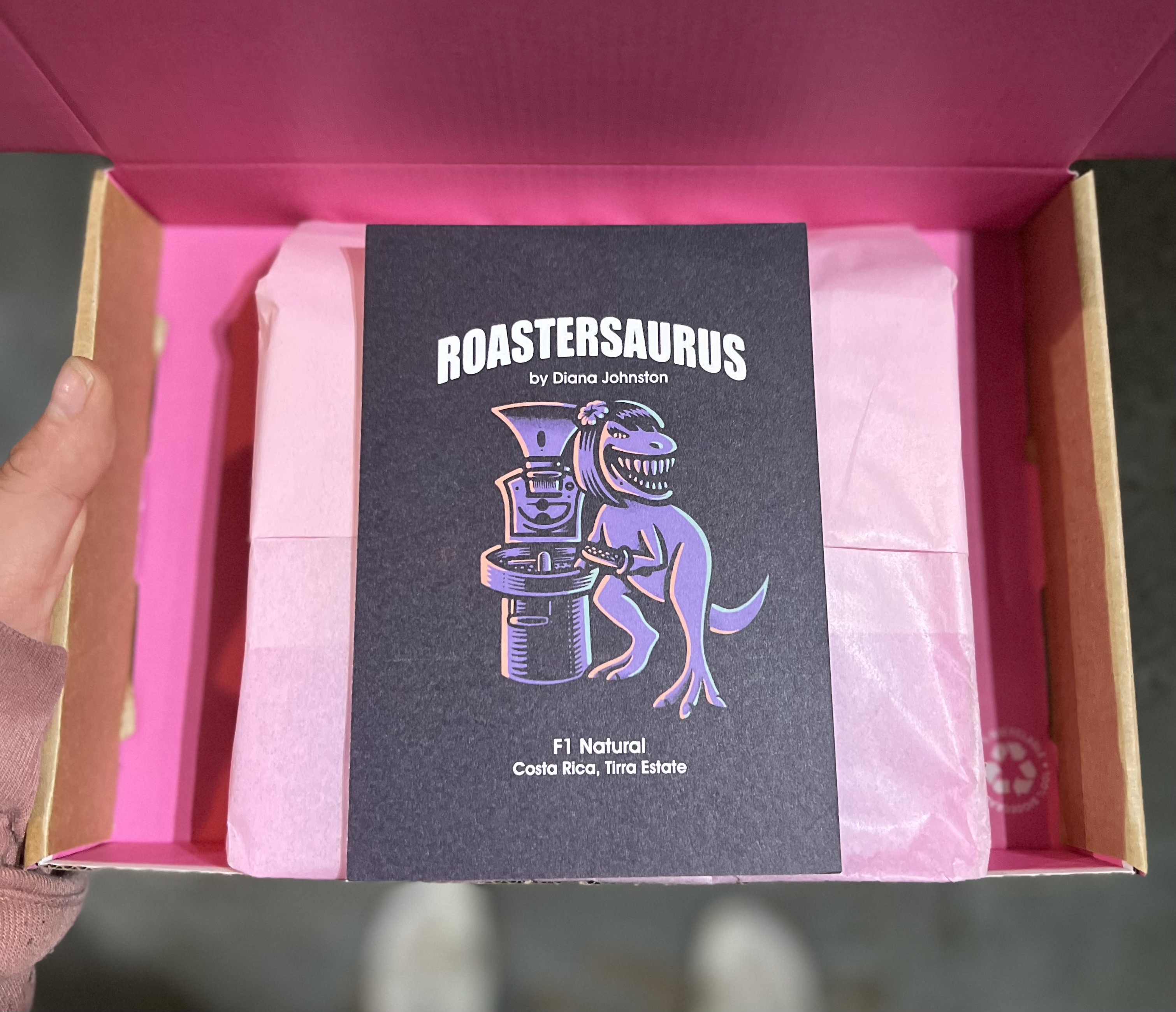 Roastersaurus | Competition, Collaboration, Curiosity: Questionable ...